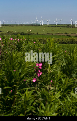 LLyn Alaw Wind Farm Anglesey producing electricity for part of North ...