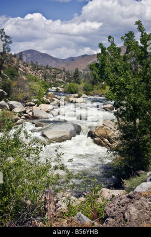 Vertical shot of a mountain river Stock Photo - Alamy