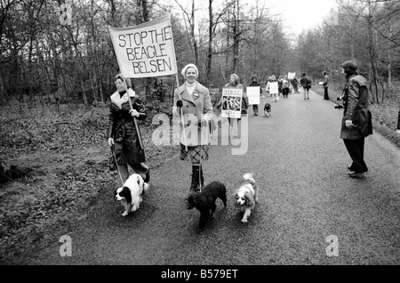Demonstrators against the use of Beagles by ICI in smoking experiments ...