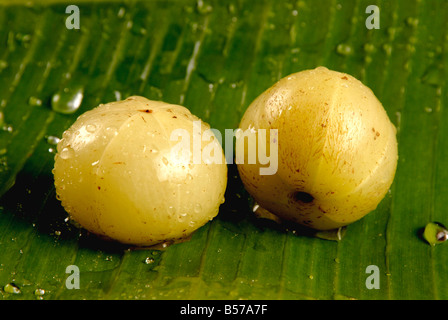 Name: Nelli, Botanical name : Phyllanthus emblica Linn Stock Photo - Alamy