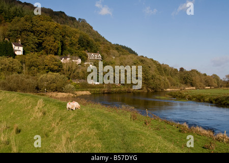 River Conwy and the Trefriw Cob earth flood defence in the Conwy Valley ...