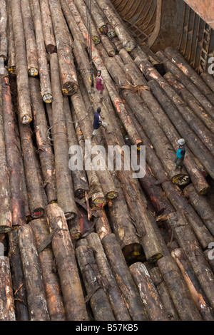 Loading of wood from the forest onto the rail for further transport ...