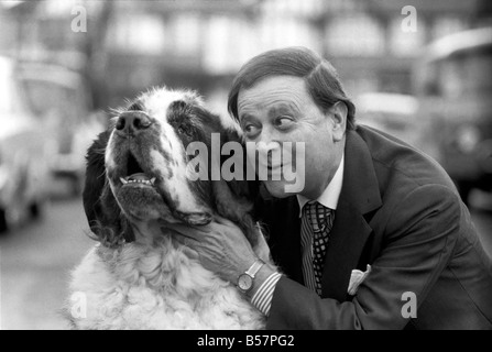 Shane the St. Bernard dog with Derek Roy, Britains biggest dog goes ...