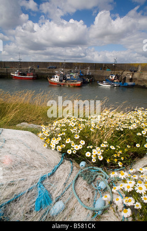 Helvick Head Pier County Waterford Ireland Stock Photo - Alamy