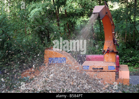 Tree shredding machine Stock Photo - Alamy