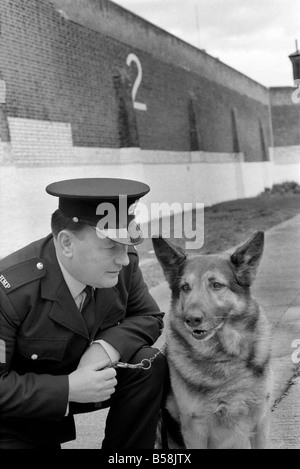 Police: Dog major with handler Gerald Ewing. March 1975 75-01234-002 ...