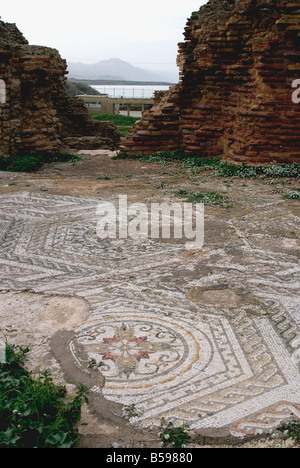 Mosaic from Roman site of Cherchell buried under the new city Cherchell ...