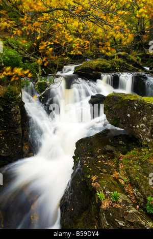 WOODLAND BURN NEAR STIRLING SCOTLAND UK Stock Photo - Alamy