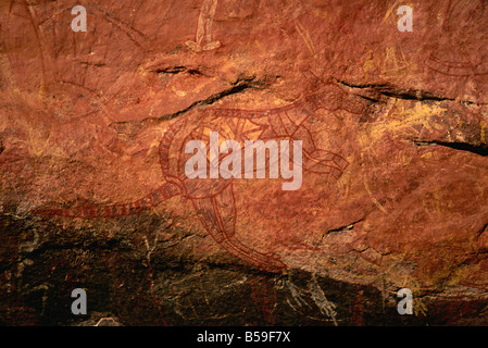 An Aboriginal x-ray rock painting art gallery featuring a Barramundi ...