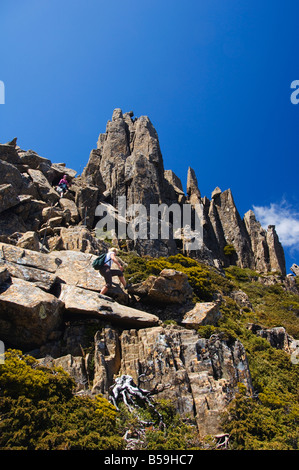 Cradle Mountain Hiking Stock Photo - Alamy