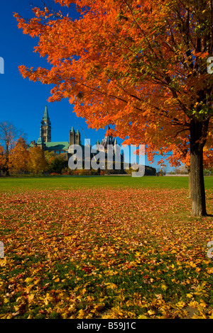 Canadian Parliament Buildings in the Fall Stock Photo - Alamy