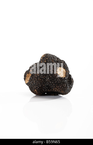 black truffle mushroom - gourmet vegetable Stock Photo - Alamy
