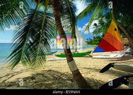 Mullins Beach - tropical beach on the Caribbean island of Barbados. It ...