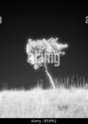 Surrealistic Tree with Face in Infrared (solarized Stock Photo - Alamy