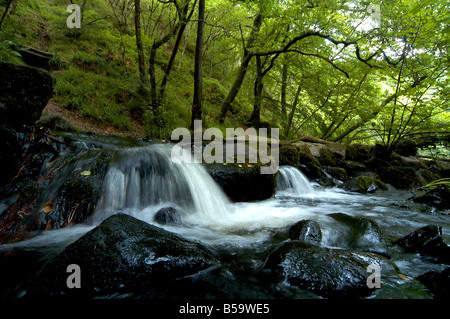 Fingle Weir on the river Teign in the Teign Valley, Devon, England, UK ...