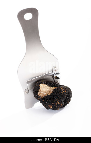 preparing fresh black truffle Stock Photo - Alamy
