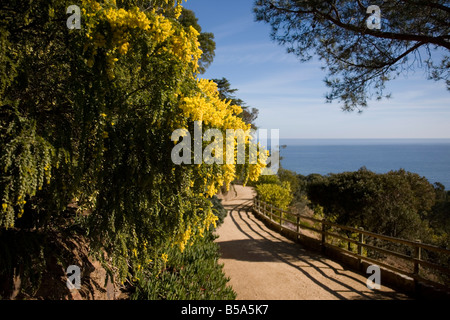 The Botanical Gardens of Cap Roig on the Cami de ronda costa brava ...