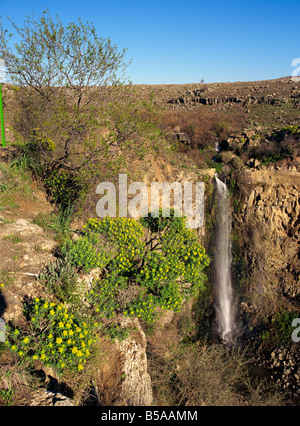 Israel, Golan Heights, Gamla waterfall Nature reserve Stock Photo - Alamy