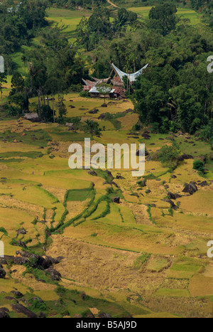 Aerial view over terraces Toraja area Sulawesi Indonesia Asia RH ...
