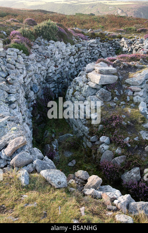 Ballowall barrow, Carn Gloose, Cornwall, UK Stock Photo - Alamy