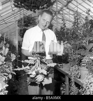 TV Gardener Percy Thrower - seen here at home. 1966 A968-003 Stock ...