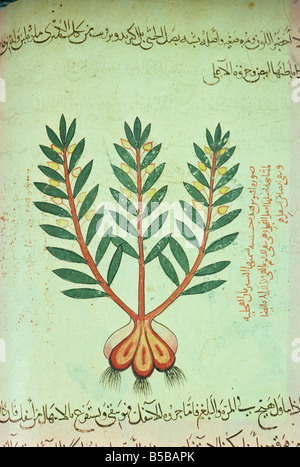 Istanbul Turkey Topkapi Manuscript Stock Photo - Alamy