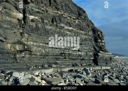 Jurassic Coast cliffs with blue lias and shale strata in fossil bearing ...