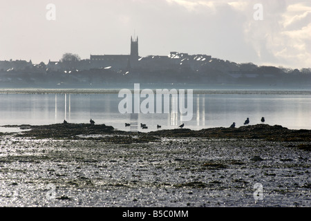 Exe Estuary. Dawlish Warren, Devon, England. With Oystercatchers Stock ...