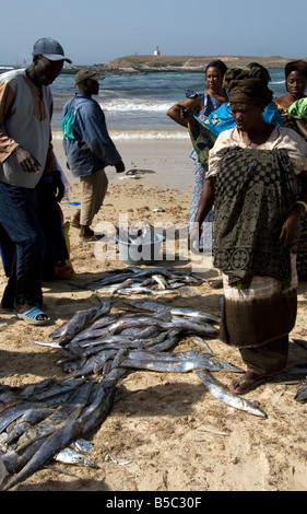 Fish market on Yoff beach in the coastal area of the city of Dakar, the ...