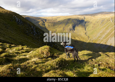 Scotland UK Caenlochan Glen Stock Photo - Alamy