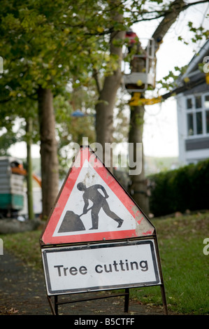 Tree cutting warning sign Stock Photo - Alamy