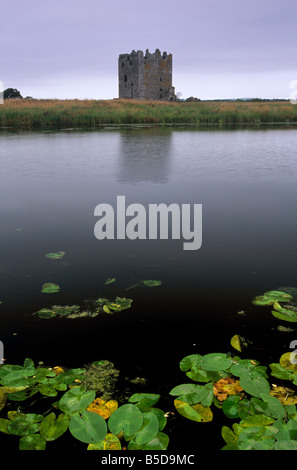 Threave Castle on the River Dee near Castle Douglas, Dumfries and ...