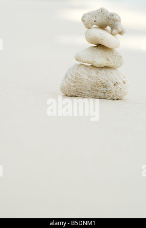 Coral and rock stacked on top of each other, casting shadow Stock Photo ...