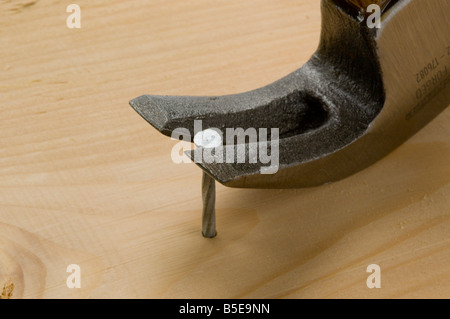 Claw Hammer Pulling Nail Stock Photo: 7596720 - Alamy