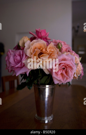 Bunches of pink and orange blossoming roses in the garden. Beautiful ...