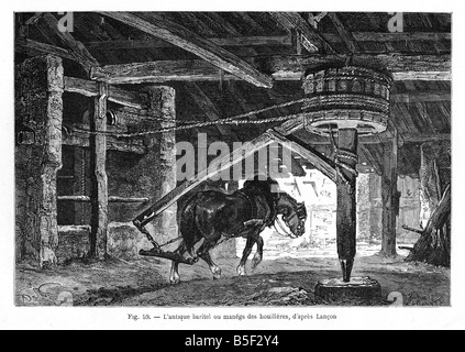 A pit pony working at a coal mine in Pant y Gassedd Wales UK Stock ...