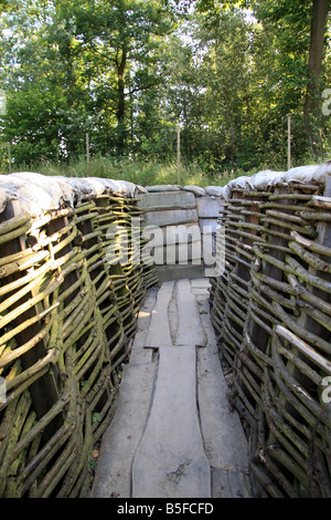 The World War One German 'Bayernwald' trench system near Ypres in ...