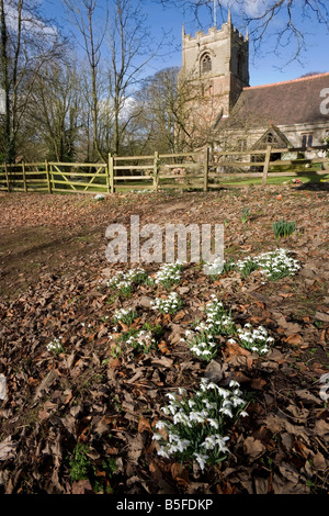 St. Leonard`s Church, Beoley, Worcestershire, England, UK Stock Photo ...