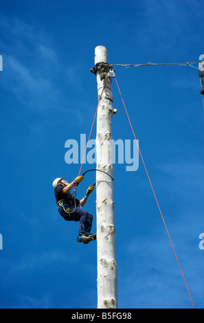 A man demonstrates pole climbing at The Great Yorkshire Show 2008 ...