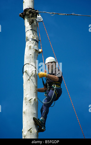 A man demonstrates pole climbing at The Great Yorkshire Show 2008 ...