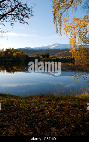 Loch Alvie showing Autumn colours and calm reflection of snowy ...