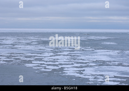 the process of fall freeze up in the Beaufort Sea Arctic Ocean off the ...