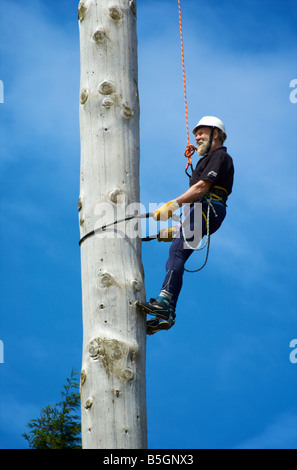 A man demonstrates pole climbing at The Great Yorkshire Show 2008 ...