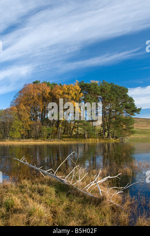 Loch Moraig, Lude in Glen Fender Blair Atholl Perthshire Tayside Region ...