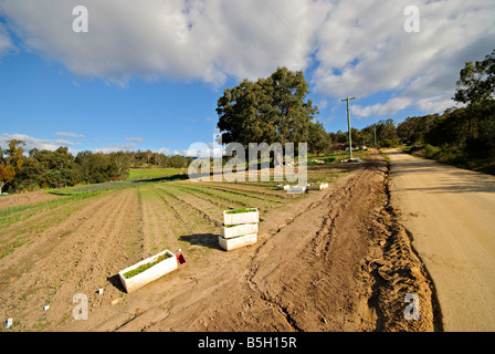 Farm in Towamba in rural New South Wales Australia Stock Photo - Alamy