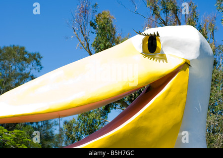 The Big Pelican Noosa River Noosaville Qld Australia Stock Photo - Alamy