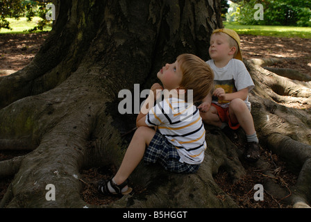 two children playing under large tree Stock Photo: 11723968 - Alamy