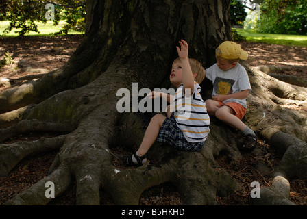 two children playing under large tree Stock Photo: 11723968 - Alamy