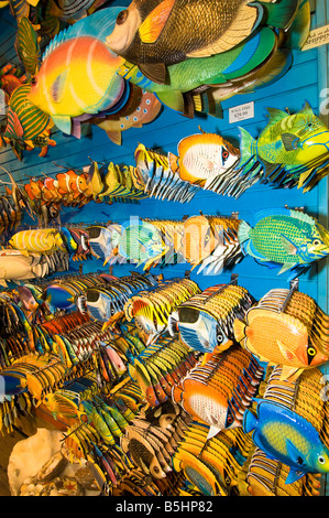 Florida Keys sea shell souvenir shop Stock Photo - Alamy