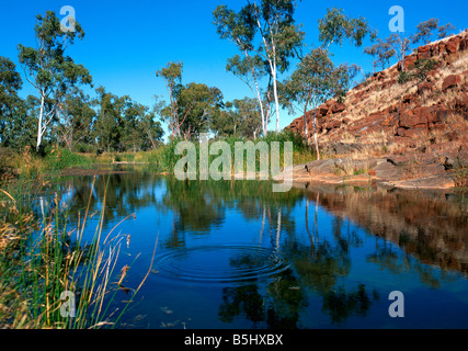 Billabong, Pilbara, Northwest Australia Stock Photo - Alamy
